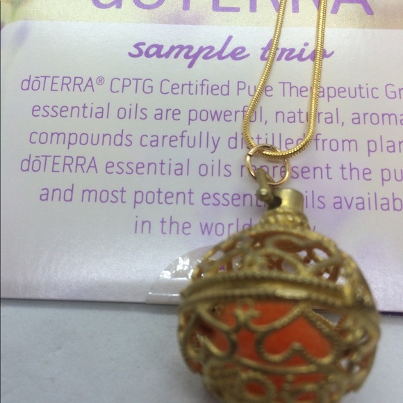 Jewelry | Essential Oil Diffuser Necklace | Poshmark